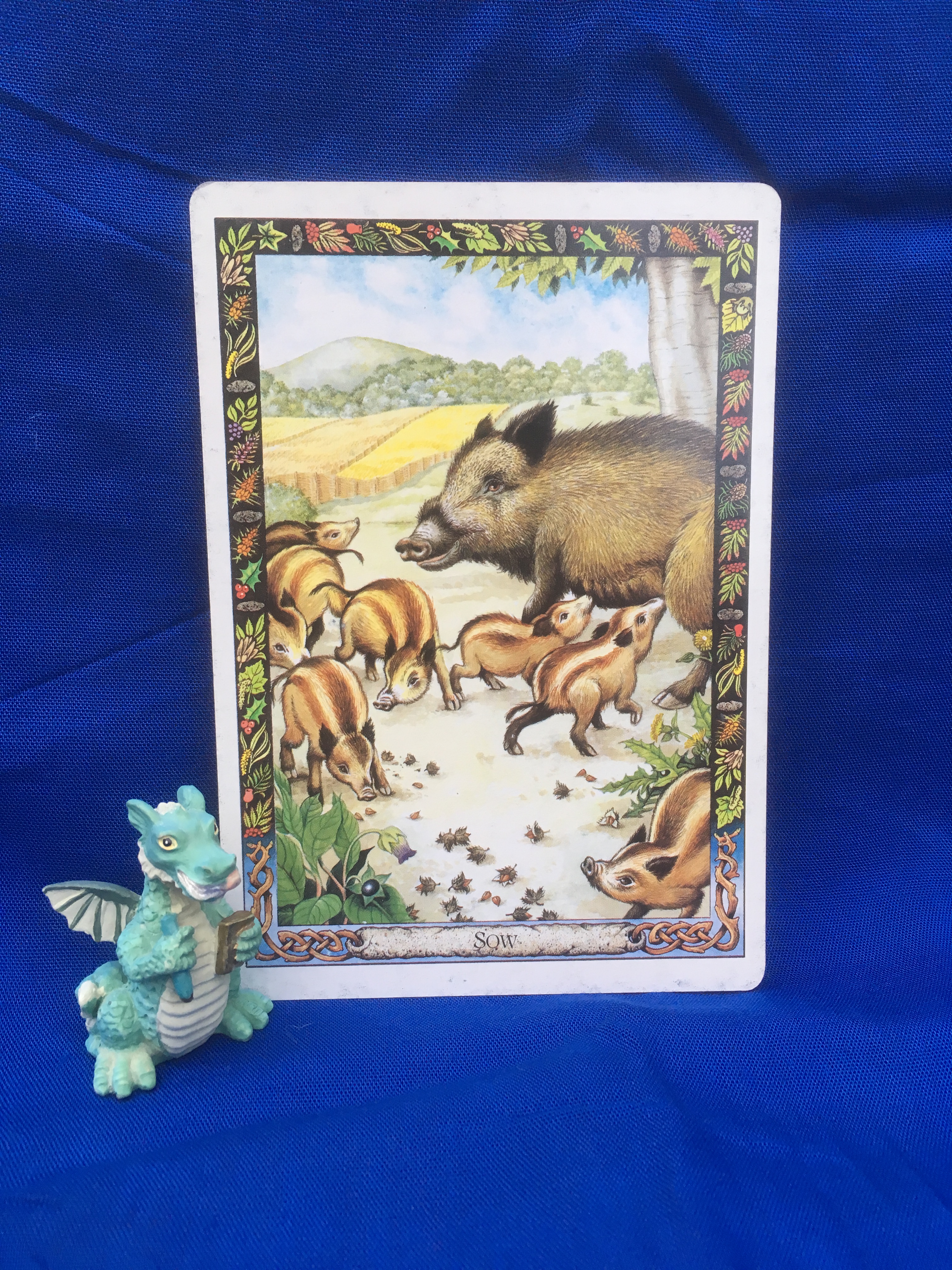 Card of the Day: Boar | Ann J Clark